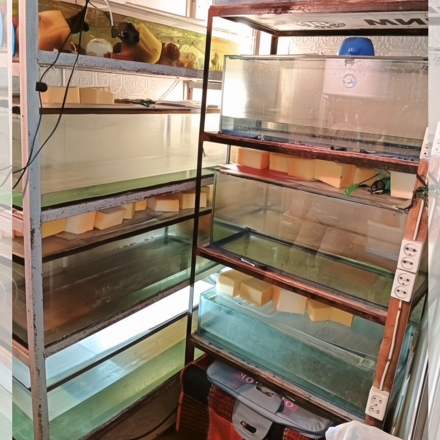 Готовый аквариум