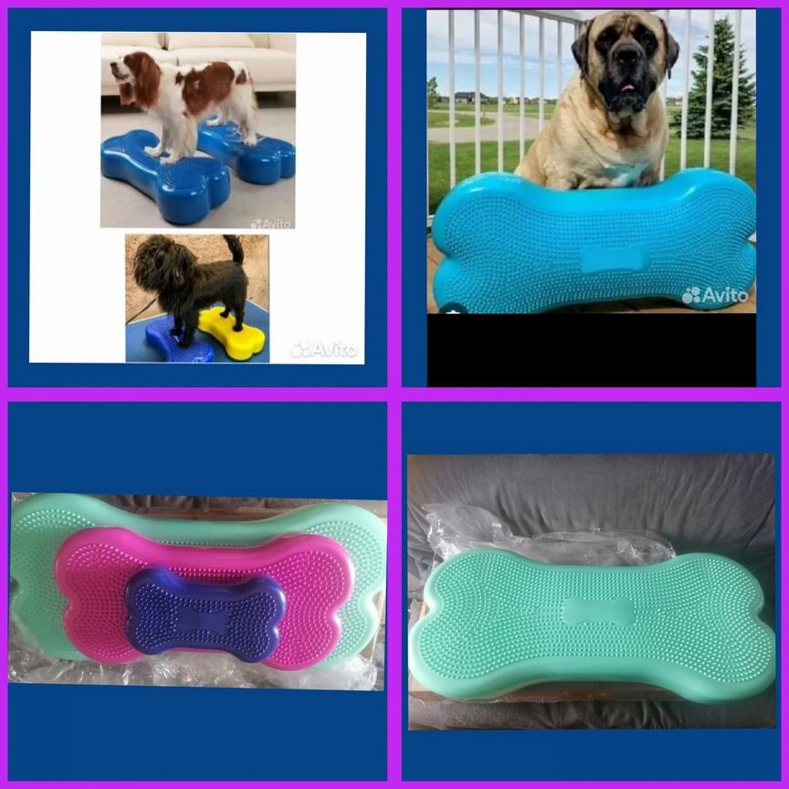 Для собак (фитнес)