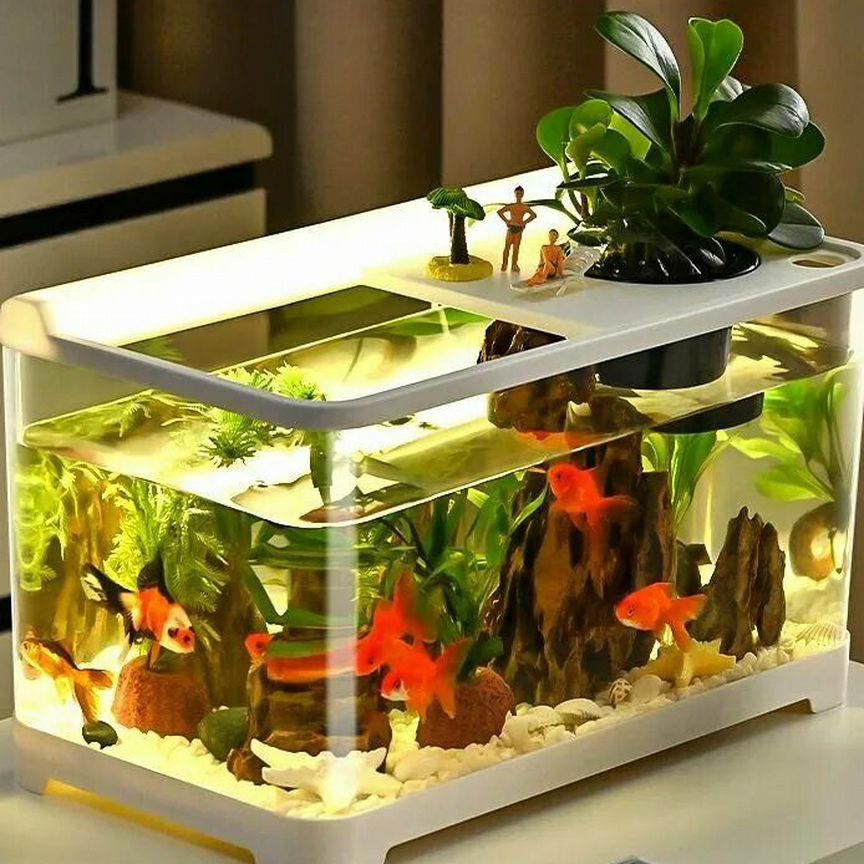 Аквариум с рыбками