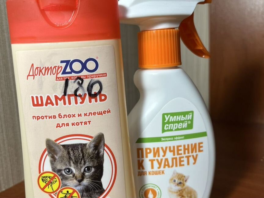 Для котят