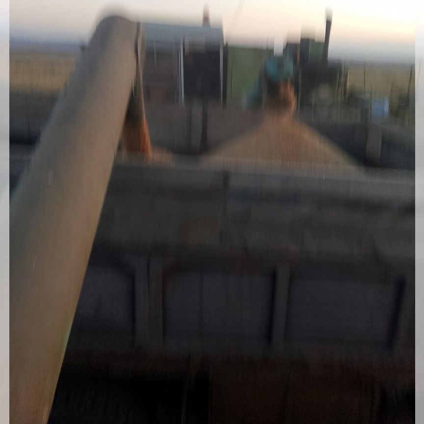 Зерно пшеница ячмень