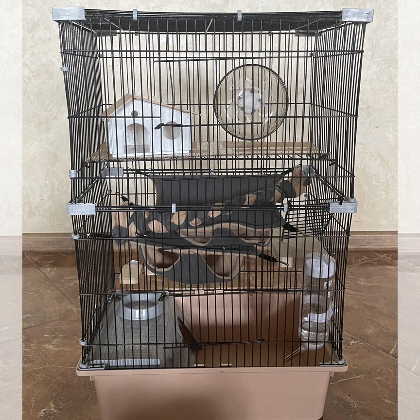 Клетка для грызунов большая обустроенная