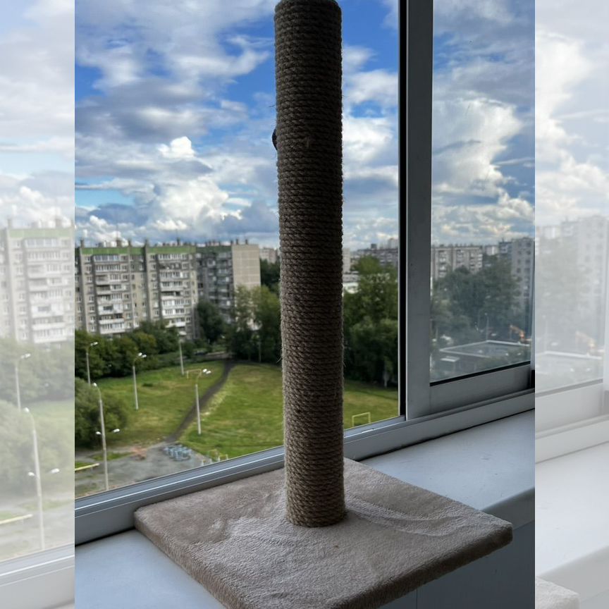 Когтеточка для кошек