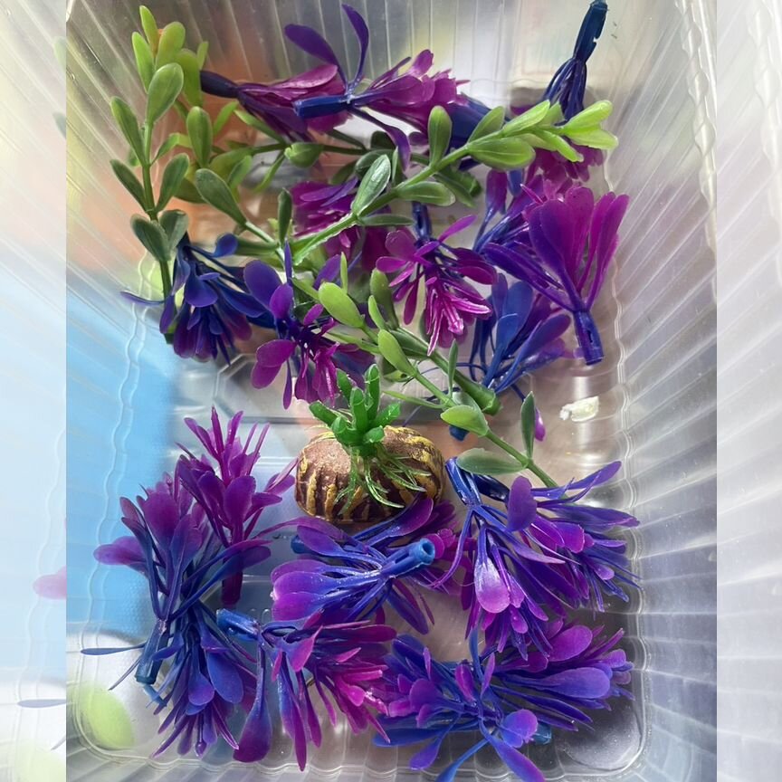 Отдам искусственные растения для аквариума