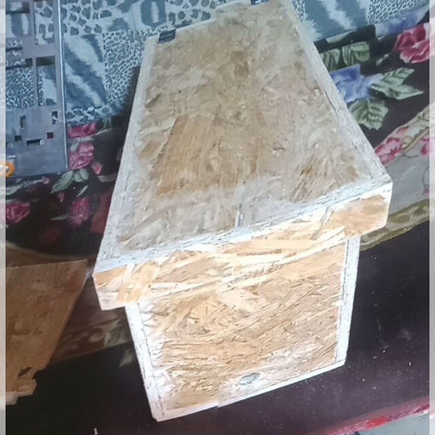 Микронуклеус