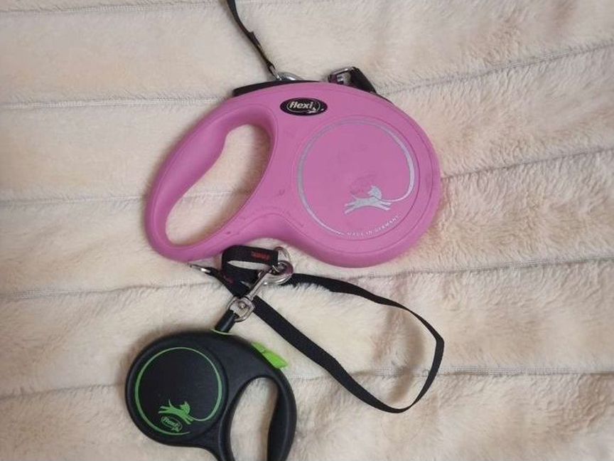 Две рулетки для собак Бесплатно