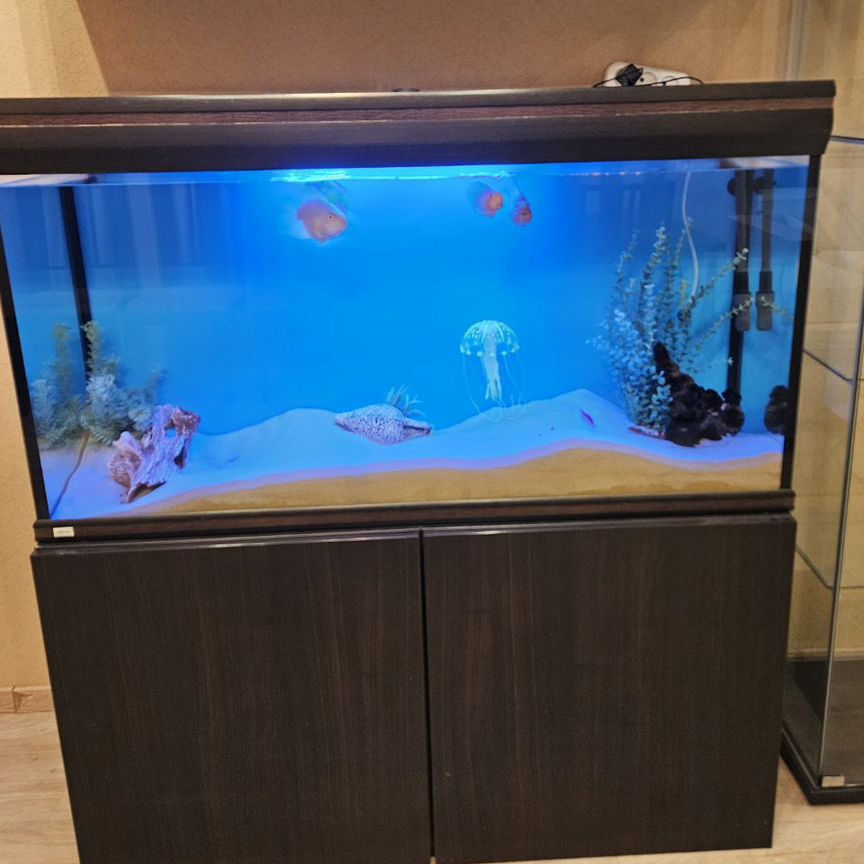 Аквариум с рыбками и тумбой