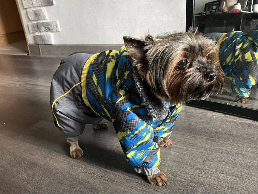 Одежда для собак комбенизон зимний