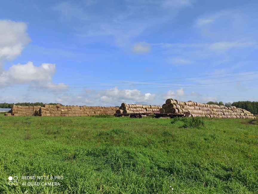 Сено тюковое