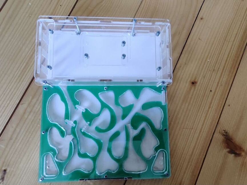 Террариум для муравьев