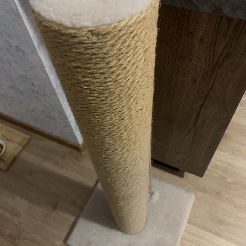 Когтеточка