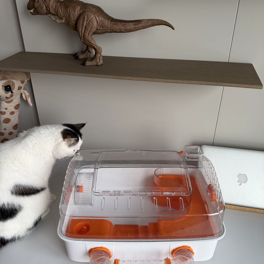 Клетка для хомяка