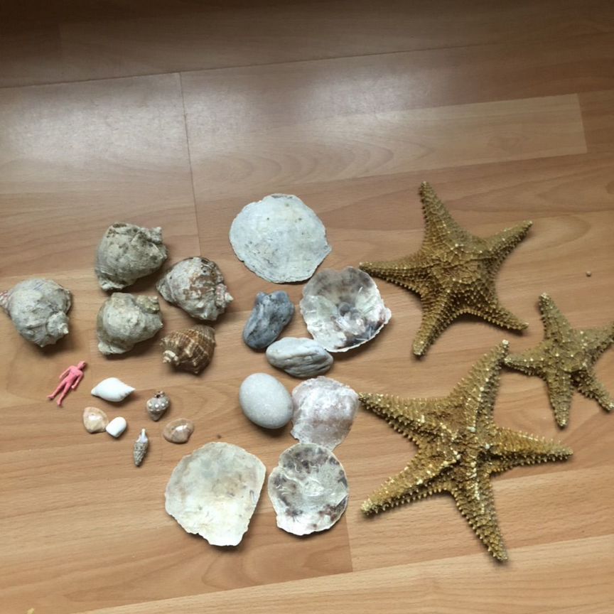 Декор для аквариума