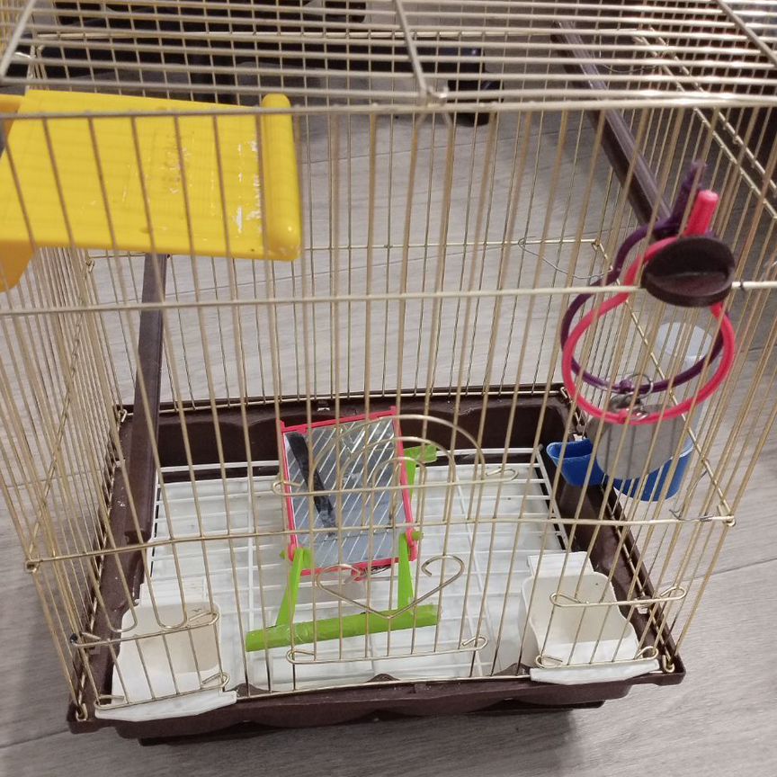 Клетка для попугая бу