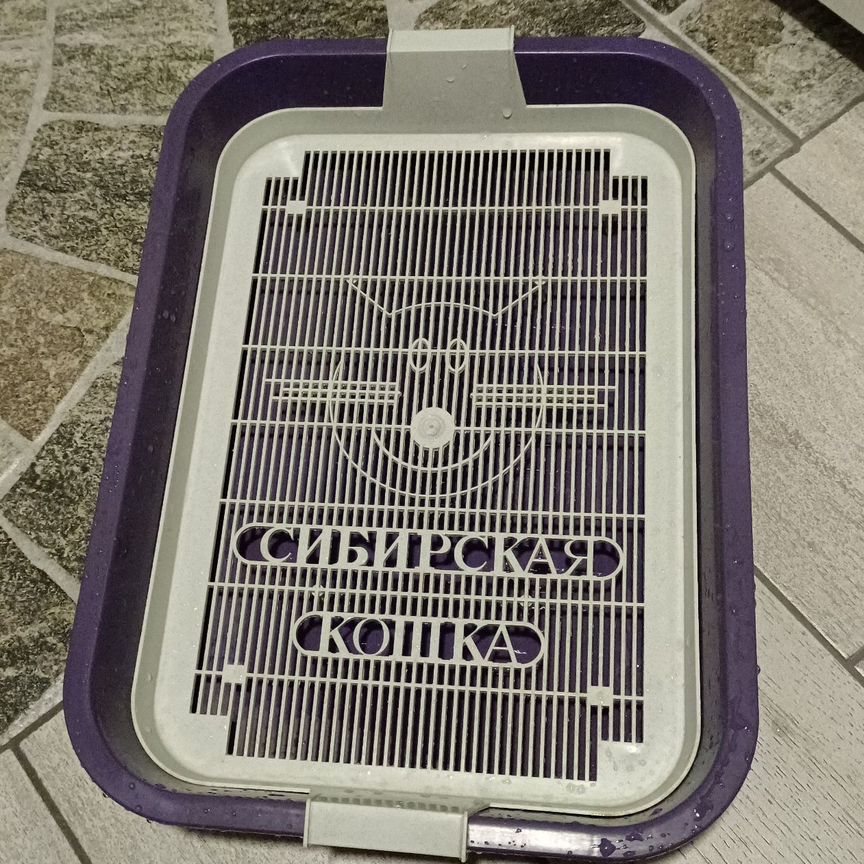 Лоток для кошек бу