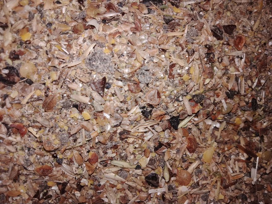 Зерно смесь дробленка