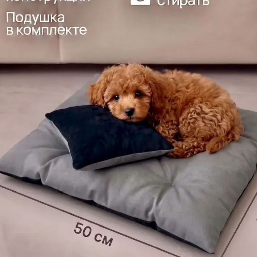 Вещи для собак мелких пород, котят, или щенят