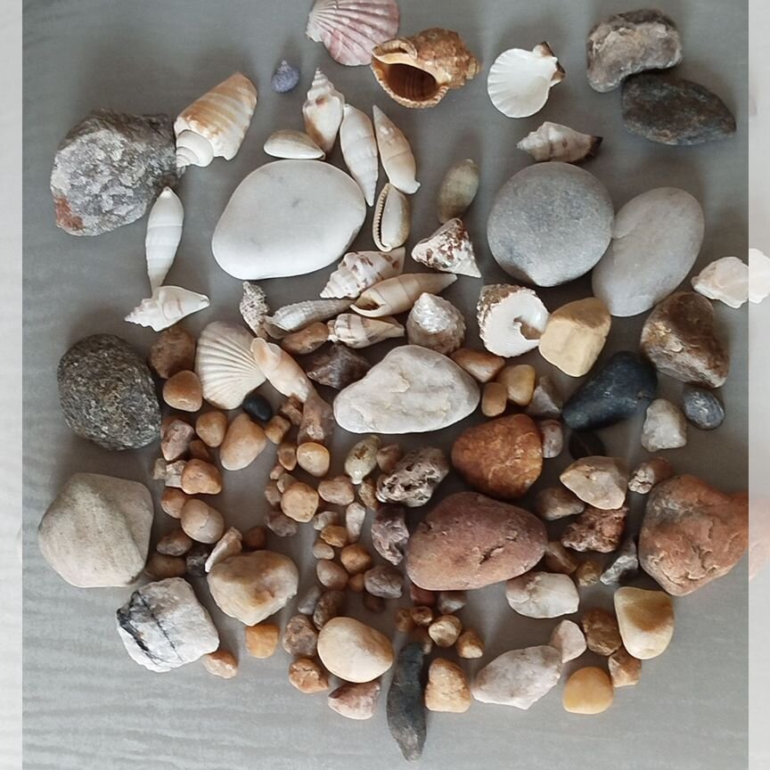 Ракушки и камешки для аквариума