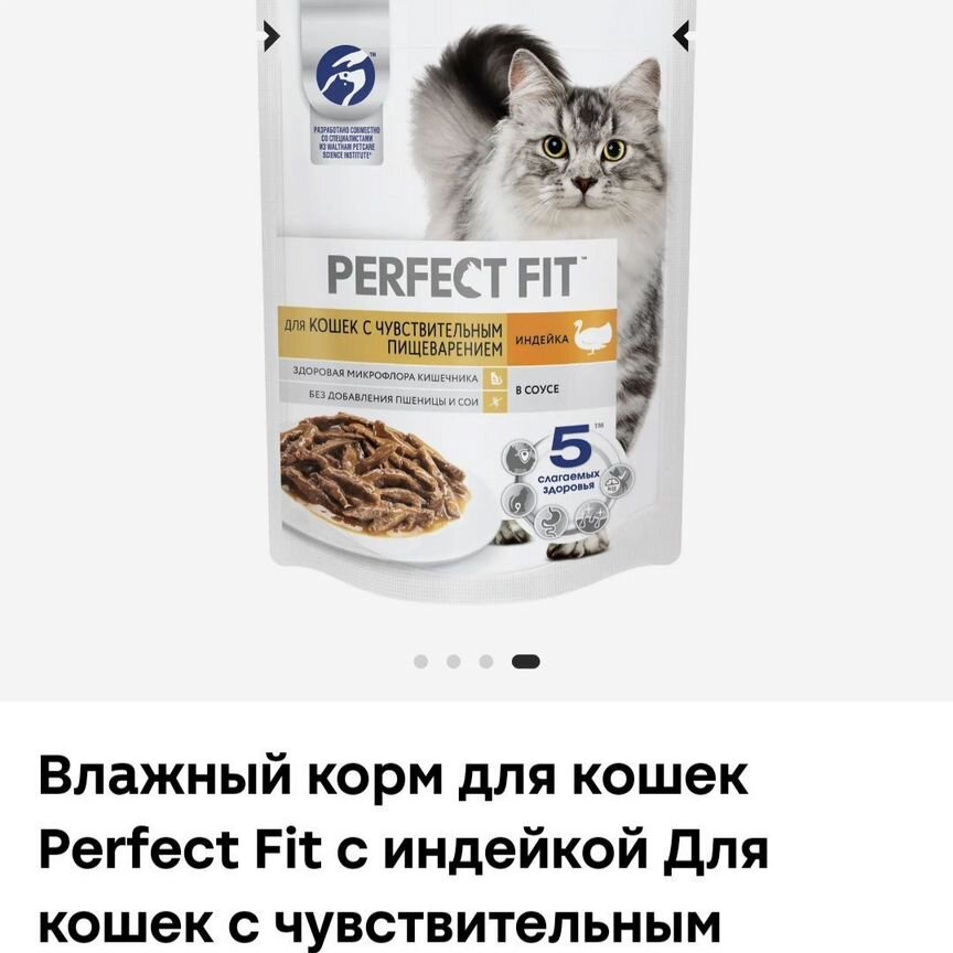 Влажный корм для кошек