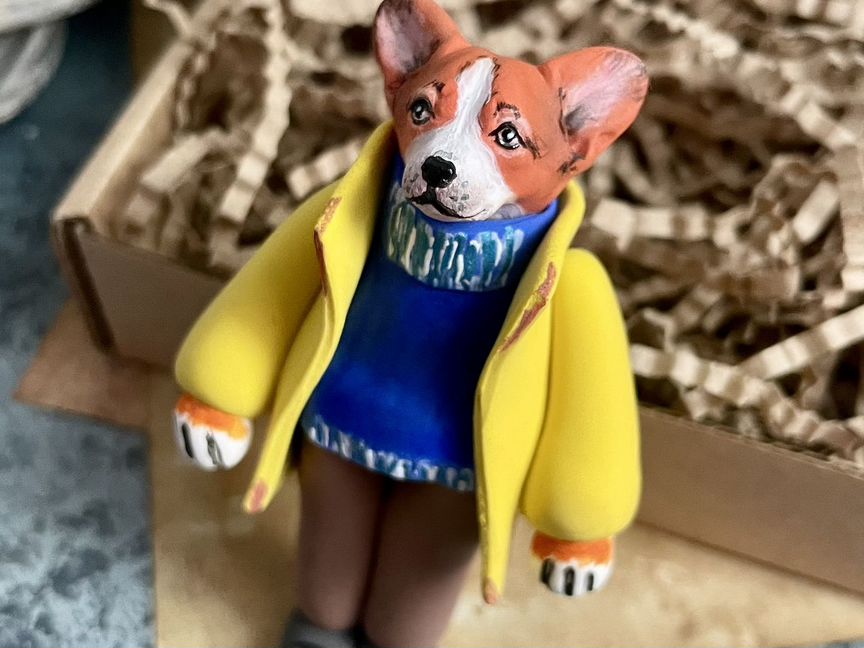 Корги. Собака корги