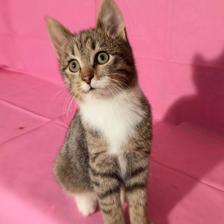 Мальчик Тима ответственным людям