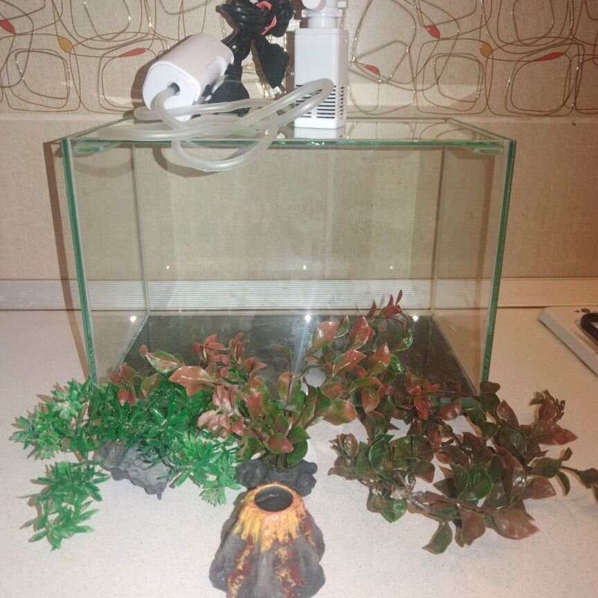 Аквариум 10 литров