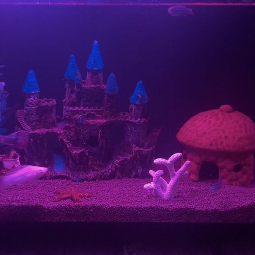 Декор для аквариума