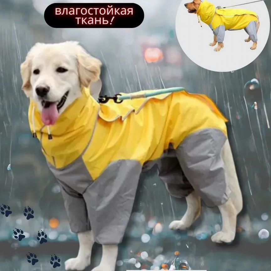 Дождевик для маленькой собаки