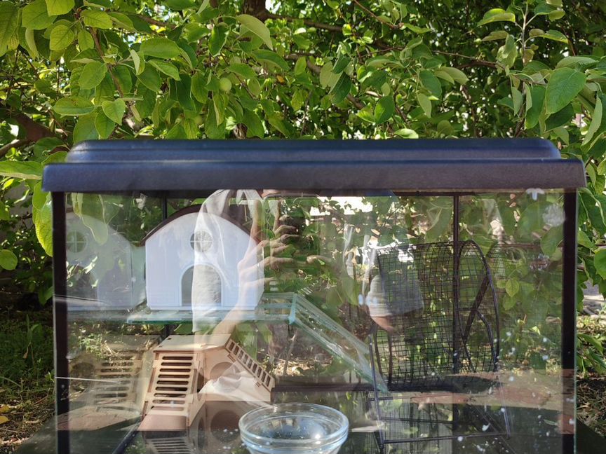 Террариум стеклянный