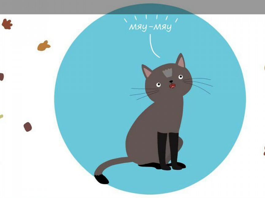 Котята в добрые руки бесплатно