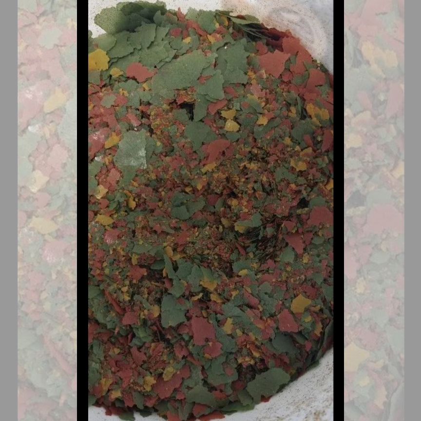 Корм для аквариумных рыбок