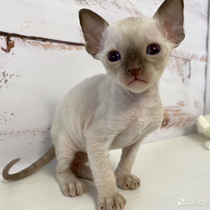 Крохотулечки