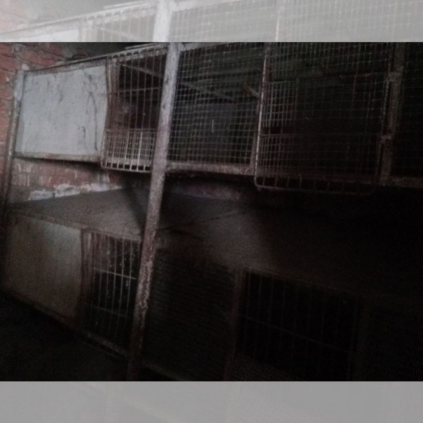 Клетки железные для кроликов