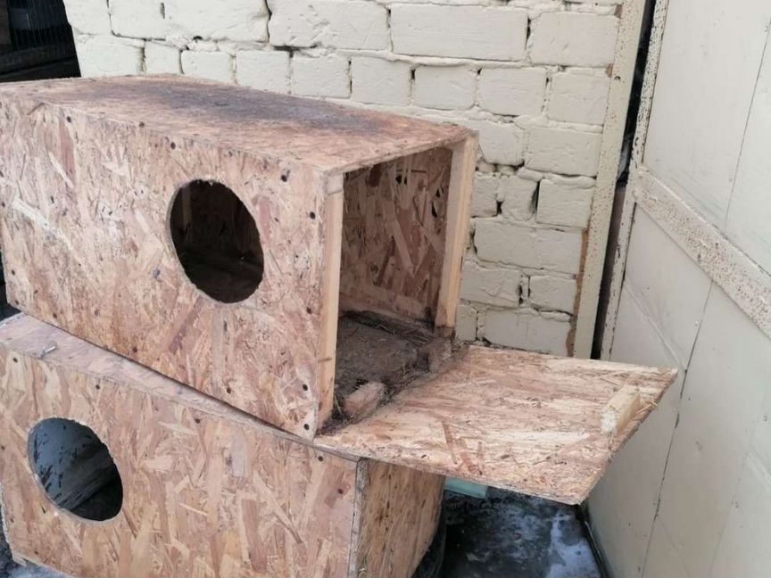 Маточник для кроликов и перевозка