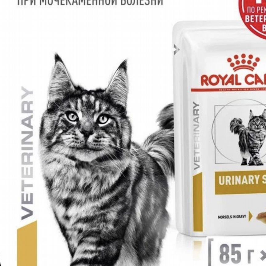 Корм для кошек royal canine urinary