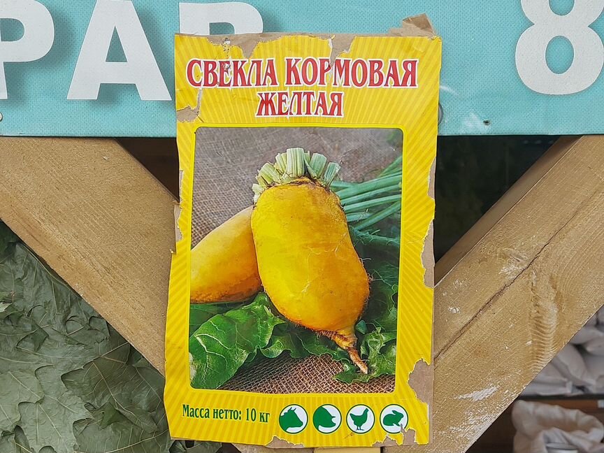 Свекла кормовая