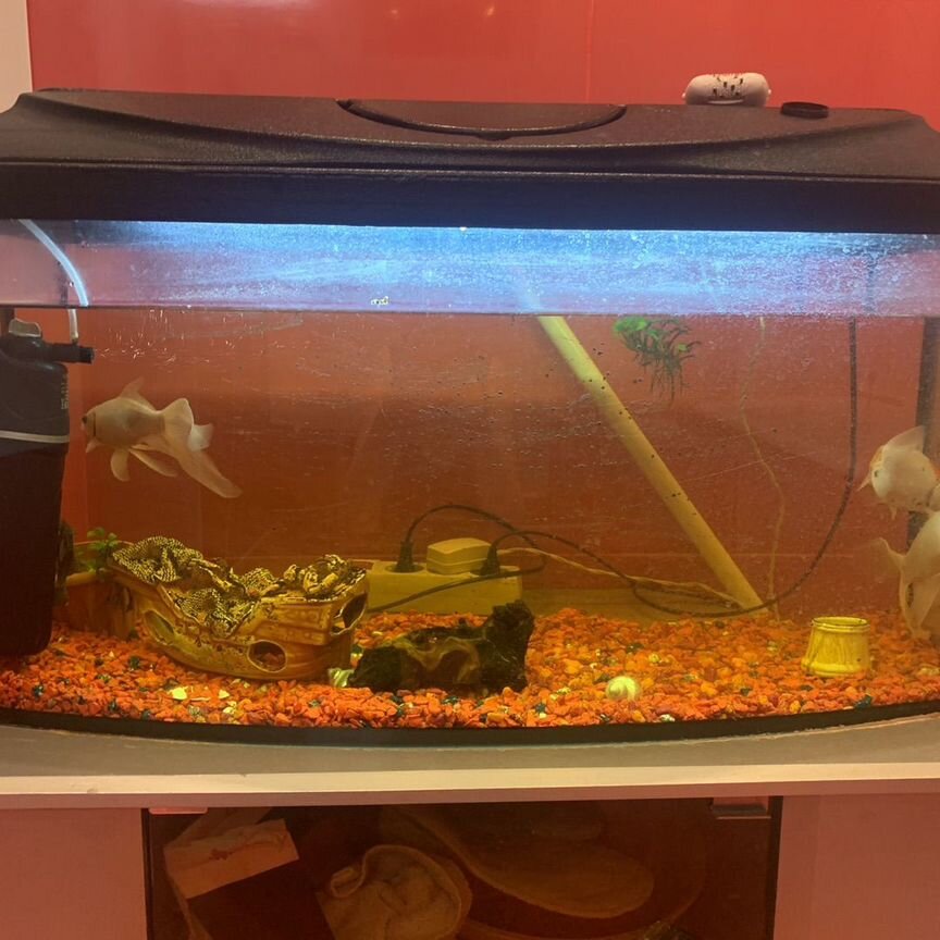 Аквариум с тумбой бу вместе рыбками