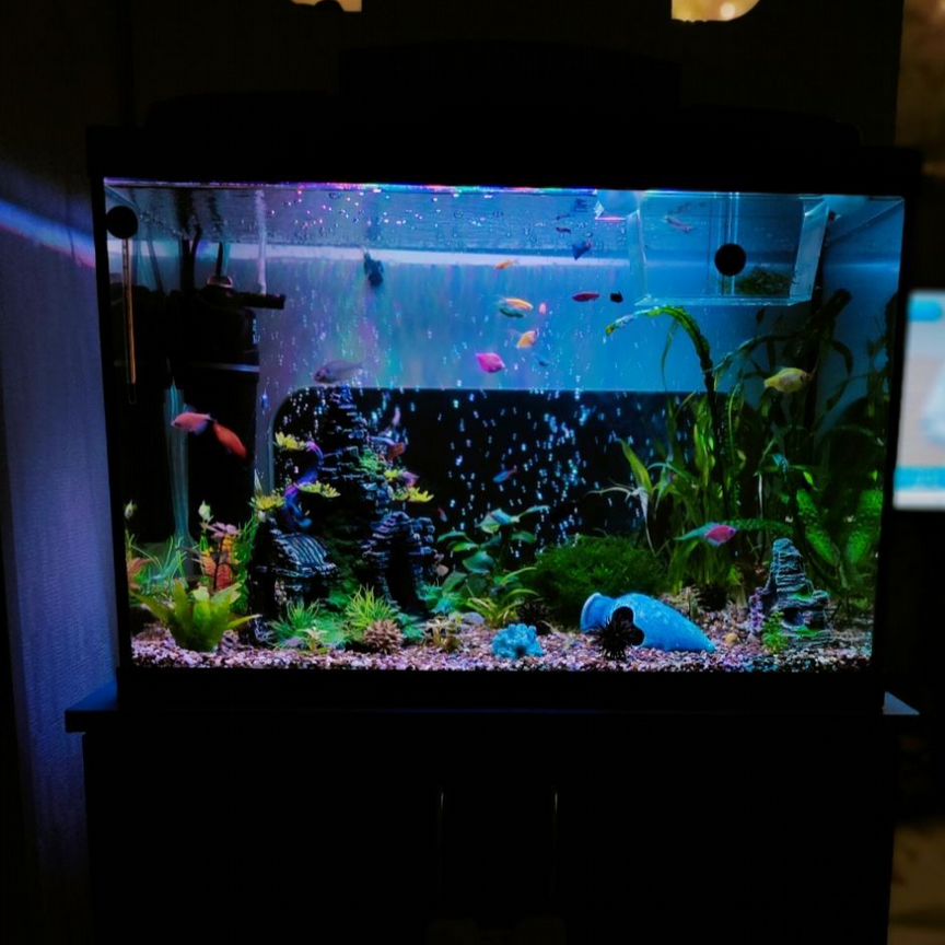 Аквариум полный комплект 80литров