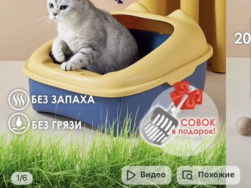 Лоток для кошек