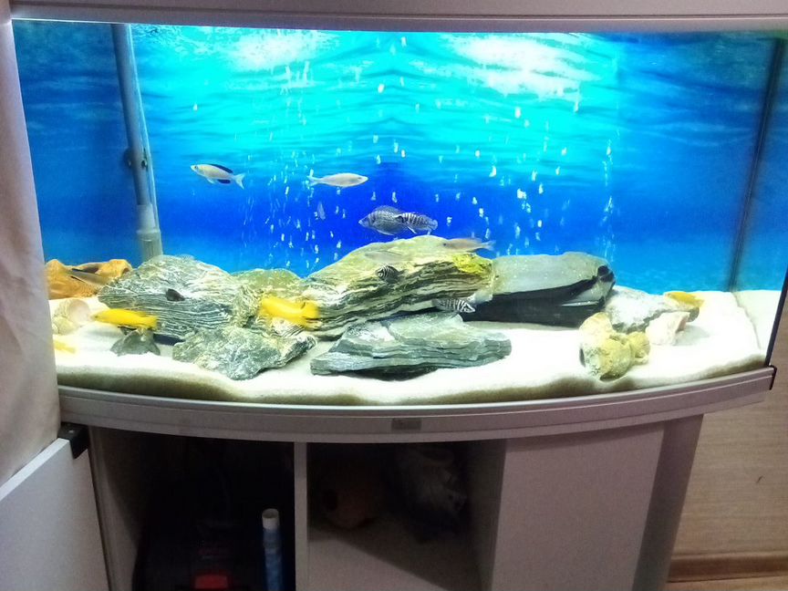 Аквариум Акваатлантис 180л. Декор