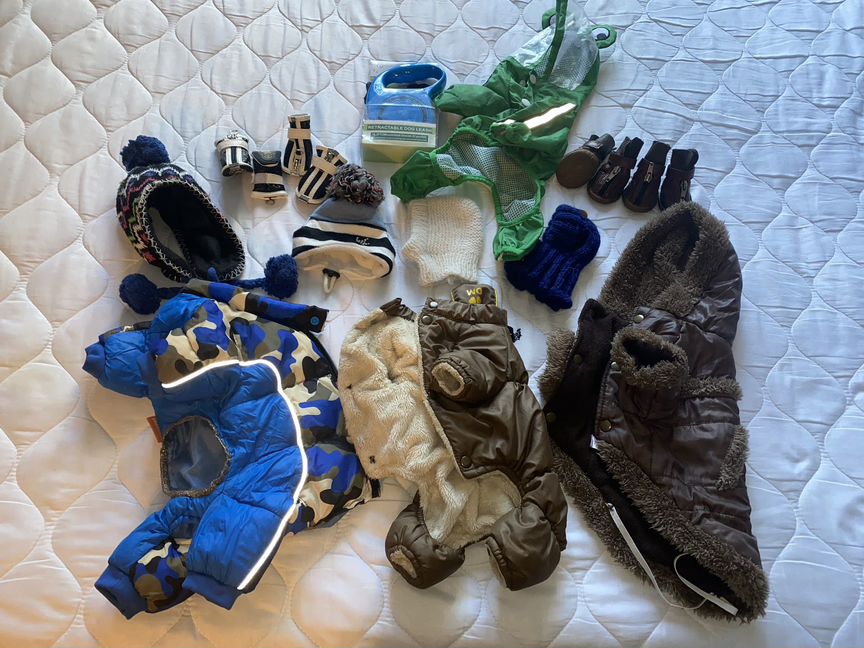 Одежда для маленьких собак