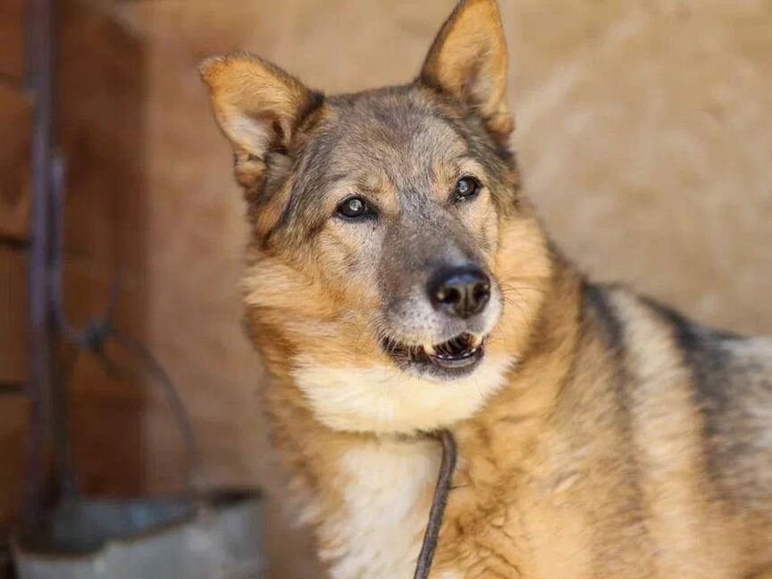 Марта или 7 лет за решеткой приюта