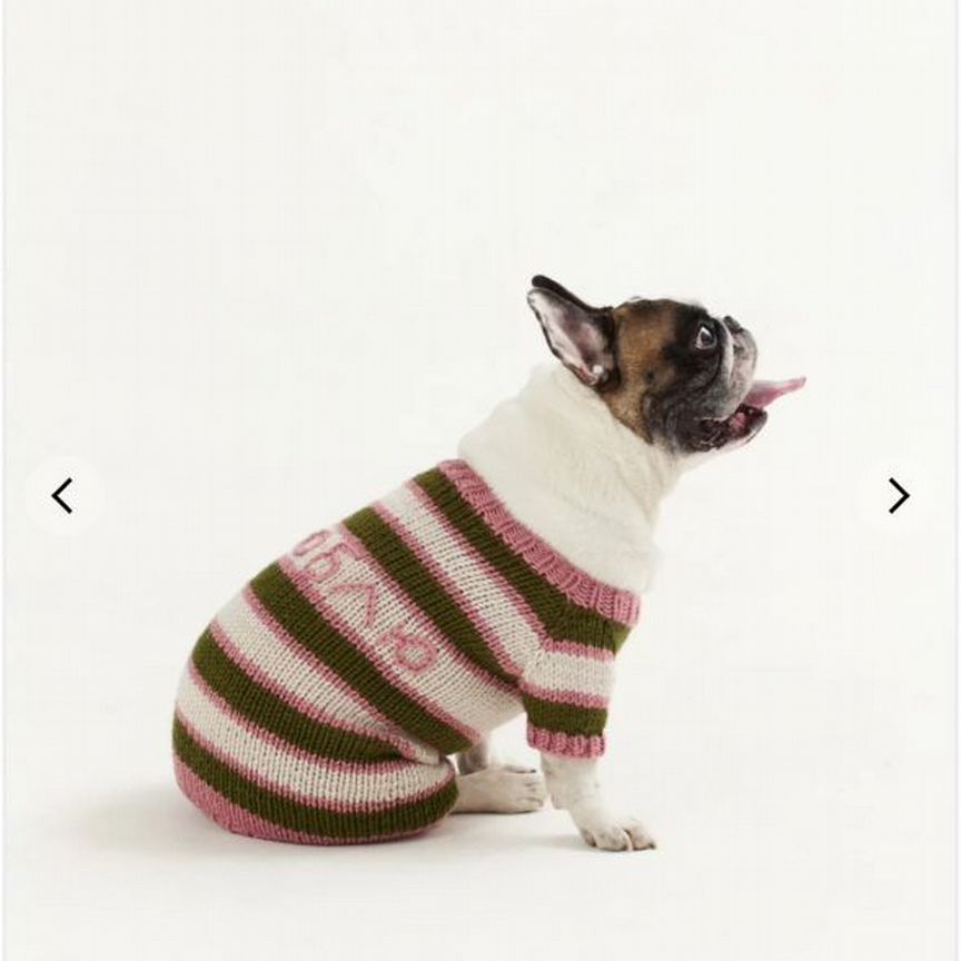 Свитер для собаки