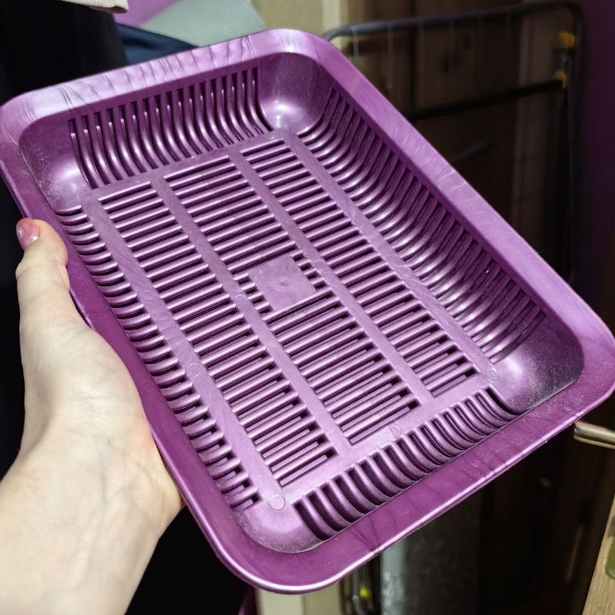 Лоток для кошек бесплатно