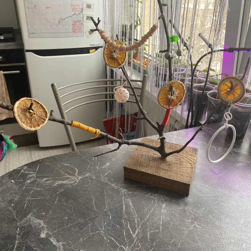 Присада для попугая