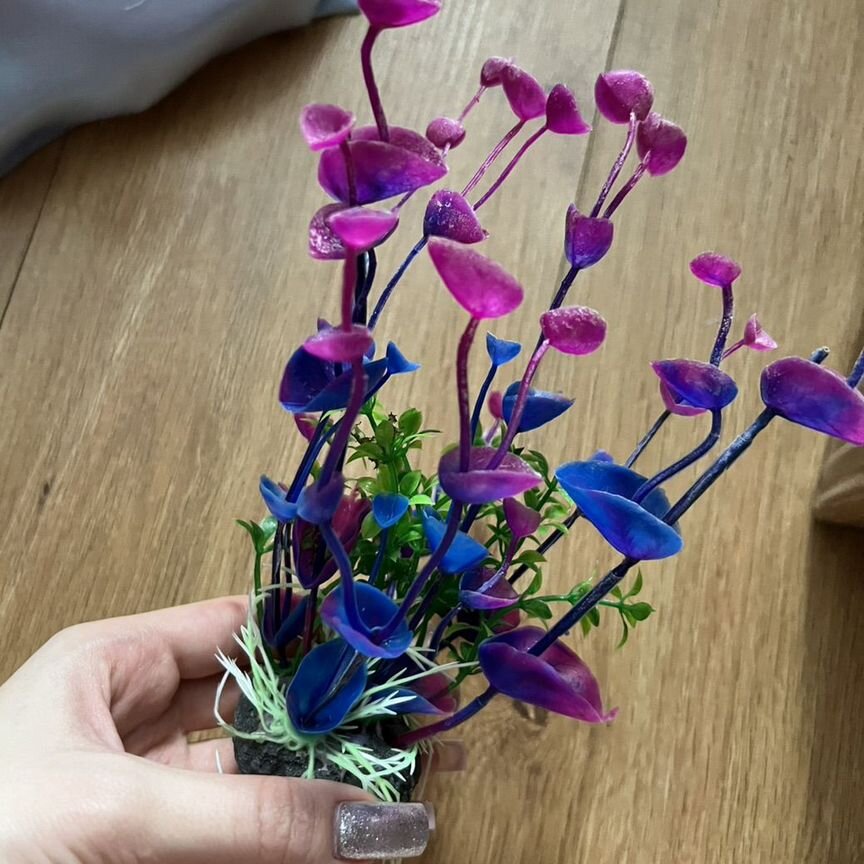 Растения в аквариум