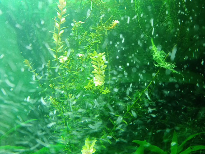 Аквариум с тумбой 200л