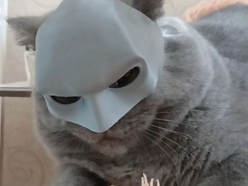 Маска для кота