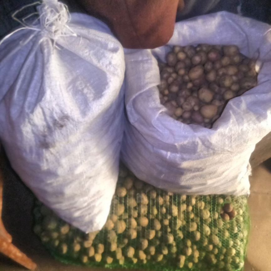 Продам мелкий картофель