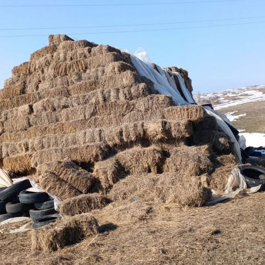 Продается сено в тюках разнотравье